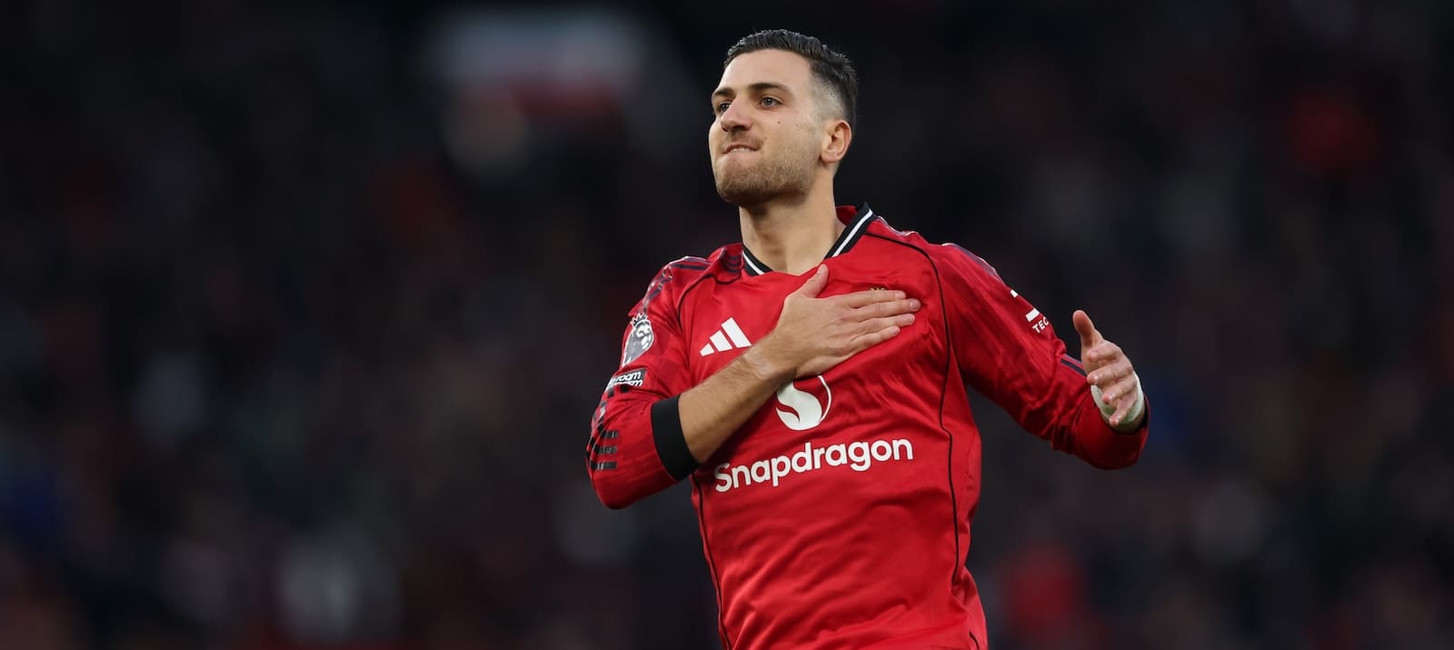 Diogo Dalot goes up another gear as Man United put Wolves to the sword ...